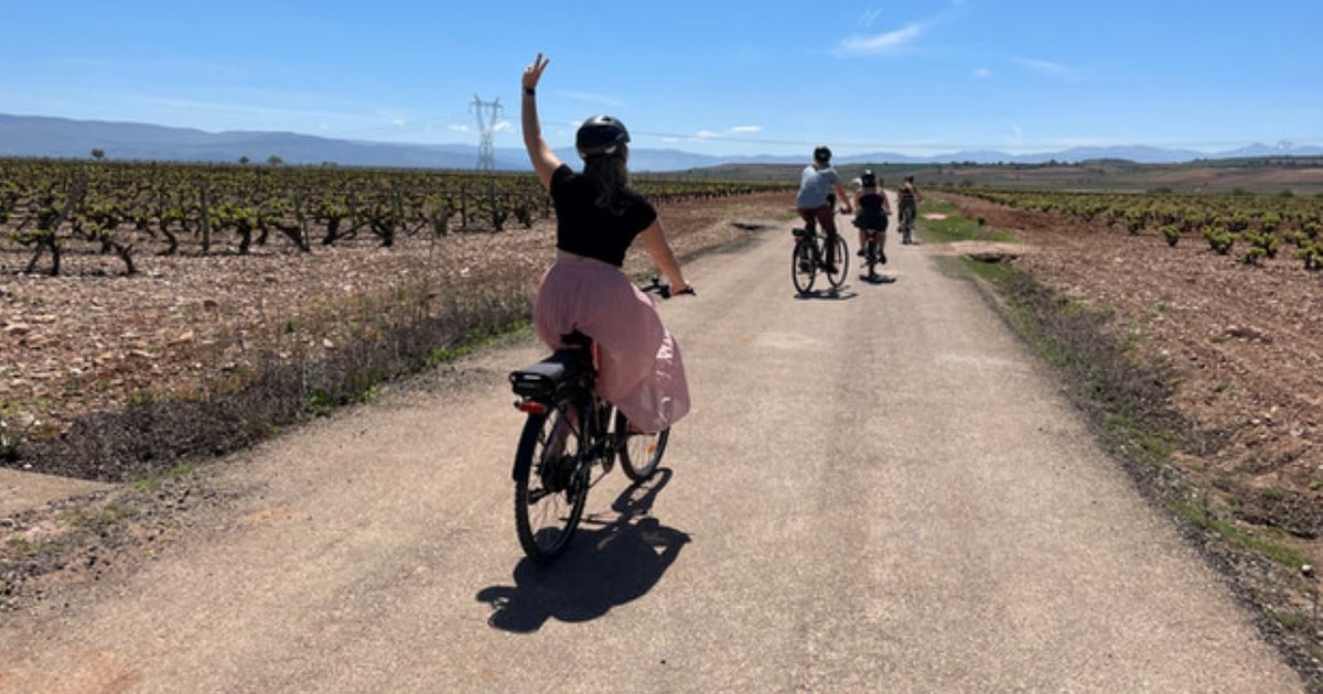 Desde Bilbao: Ruta del Vino de La Rioja en E-Bike con Catas de Vino | GetYourGuide