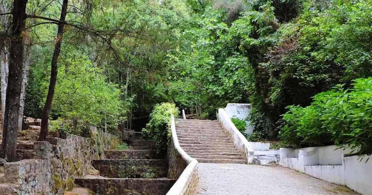 From Lagos: Private Guided Tour with Medronho Tasting | GetYourGuide