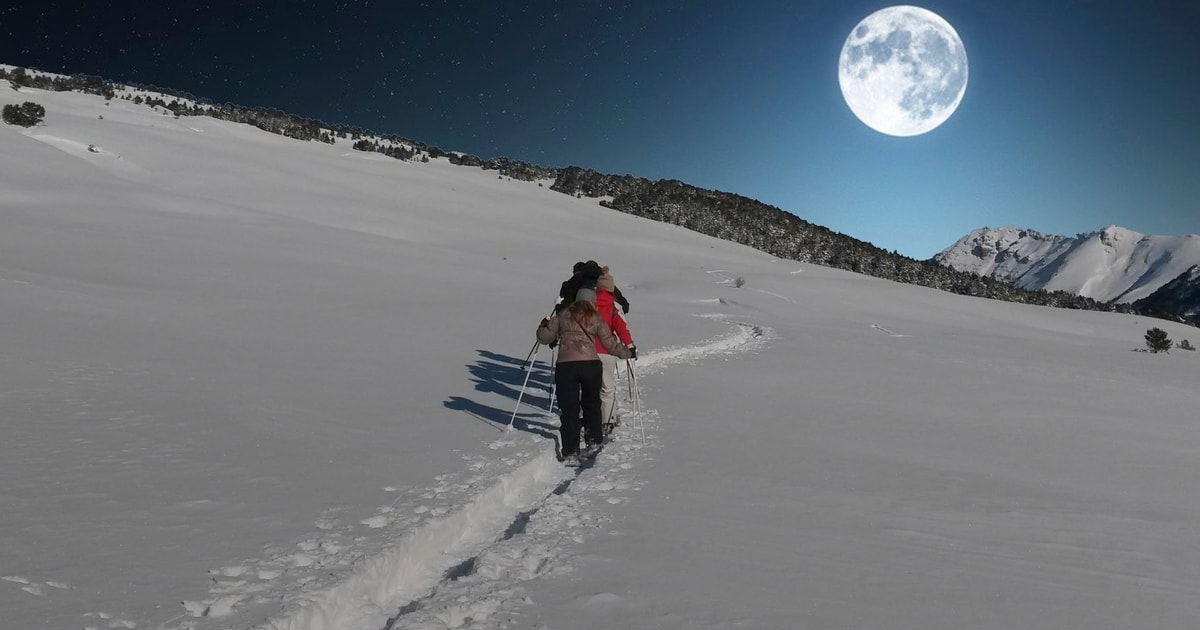 National Park: Guided Moonlight Pyrenees Snowshoe Adventure | GetYourGuide