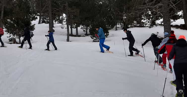 National Park: Guided Moonlight Pyrenees Snowshoe Adventure | GetYourGuide
