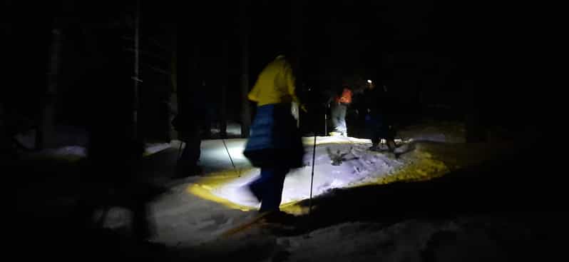National Park: Guided Moonlight Pyrenees Snowshoe Adventure | GetYourGuide