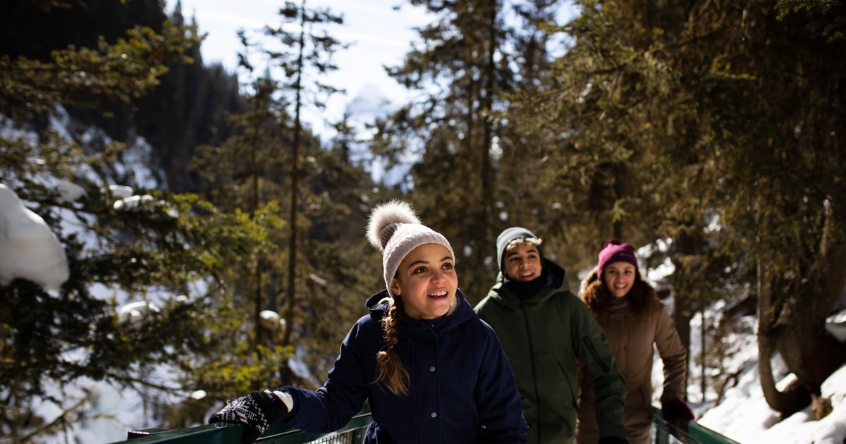 Banff: Johnston Canyon Explorer | GetYourGuide