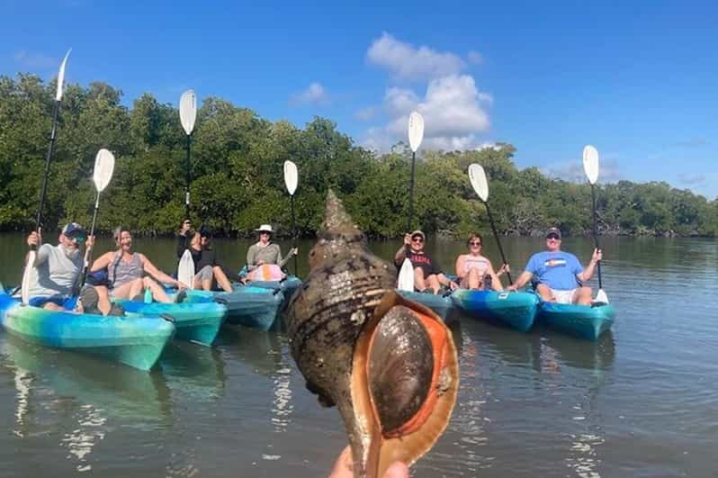 Marco Island: Kayak Mangrove Ecotour in Rookery Bay Reserve | GetYourGuide