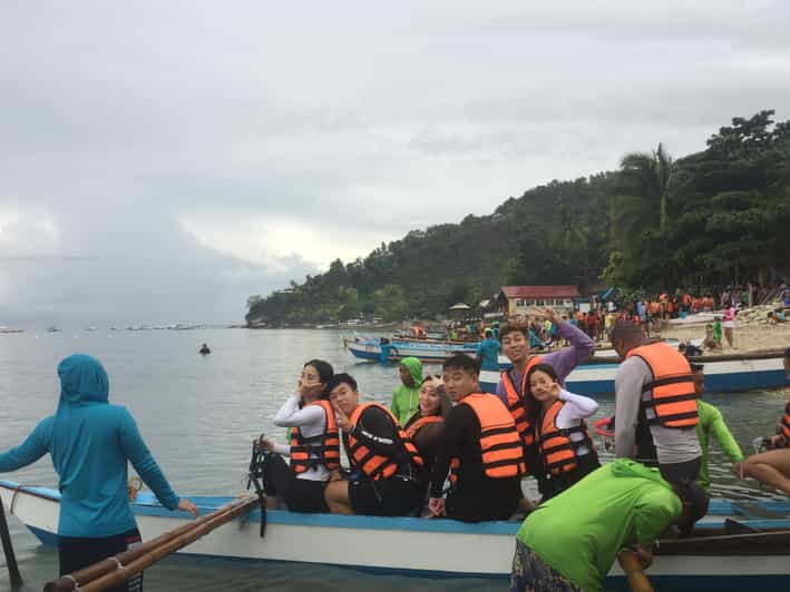 Cebu: Simning med valhaj i Oslob | GetYourGuide