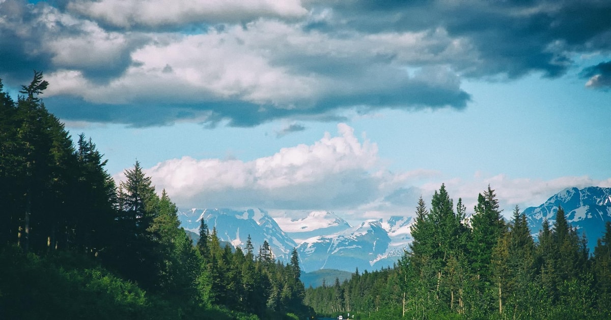 From Anchorage: Turnagain Arm and Wildlife Center Tour | GetYourGuide