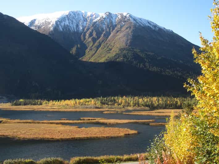 From Anchorage: Turnagain Arm and Wildlife Center Tour | GetYourGuide
