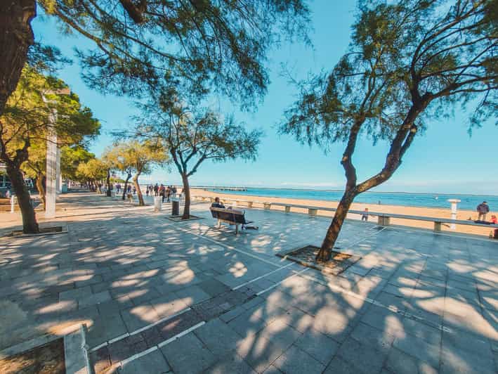 Arcachon: Guided City Walking Tour | GetYourGuide