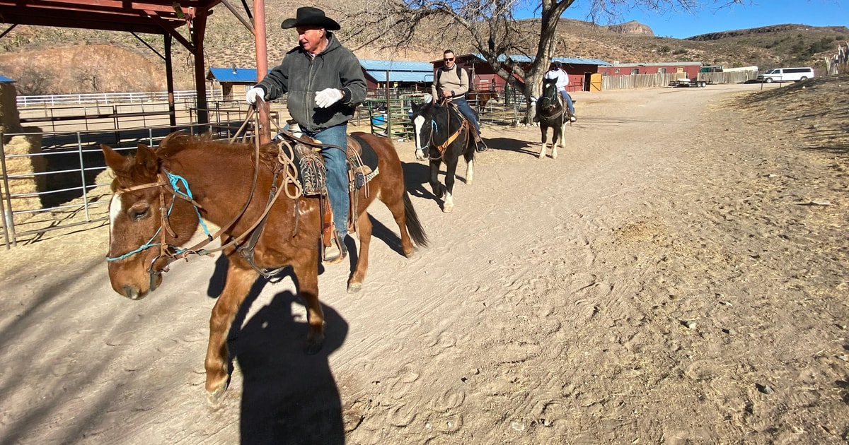 Horseback Ride thru Joshua Tree Forest with Buffalo & Lunch | GetYourGuide