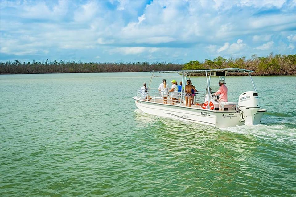 Marco Island: Shelling and Sightseeing Boat Cruise | GetYourGuide