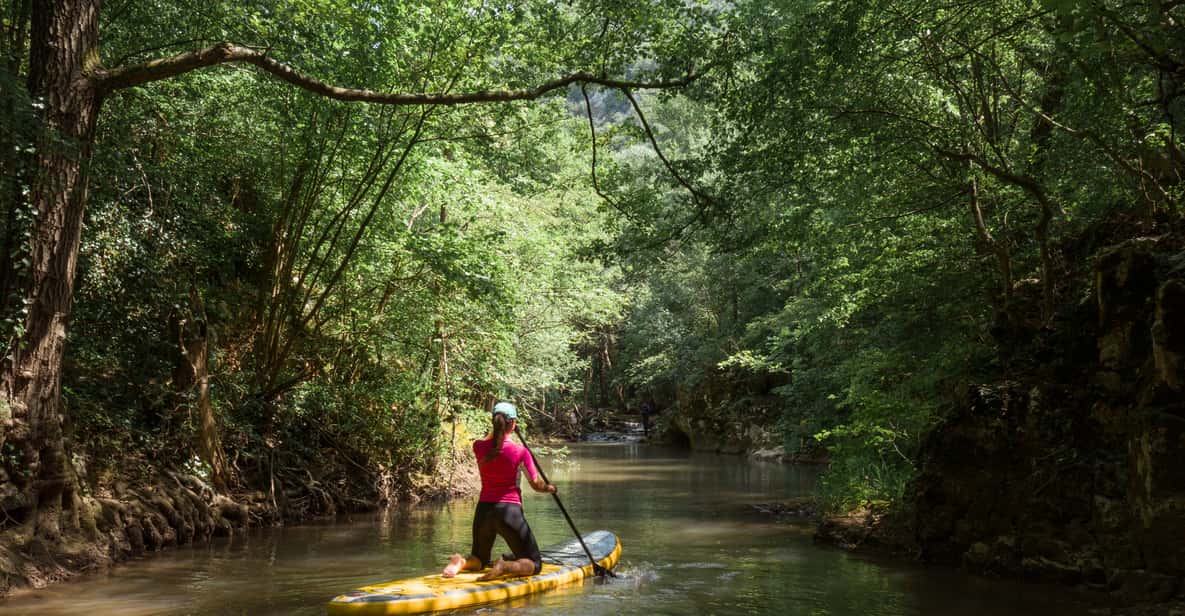 Palomino: Palomino River Paddle Board Adventure | GetYourGuide
