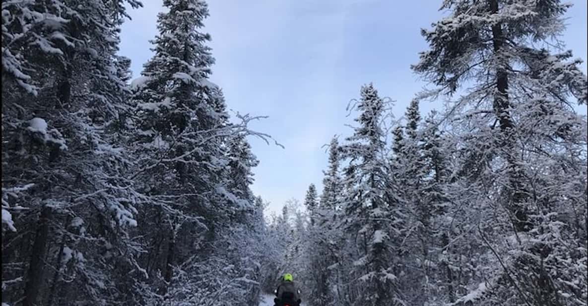 Yellowknife: Backcountry Snowmobile Tour with Winter Gear | GetYourGuide