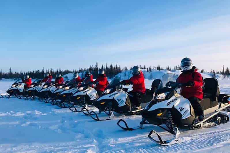 Yellowknife: Backcountry Snowmobile Tour with Winter Gear | GetYourGuide