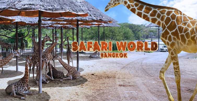 Safari World, Bangkok - Book Tickets & Tours | GetYourGuide