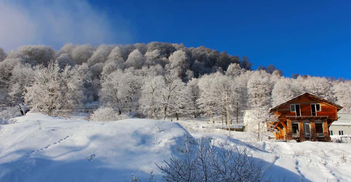 Guided Tour in Bakuriani | GetYourGuide