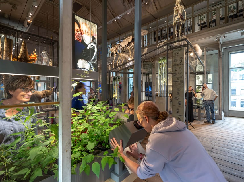 Amsterdam: ARTIS-Groote Museum Entry Ticket | GetYourGuide