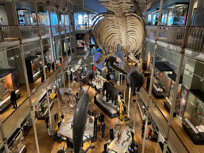 Edinburgh: National Museum of Scotland Guided Tour | GetYourGuide