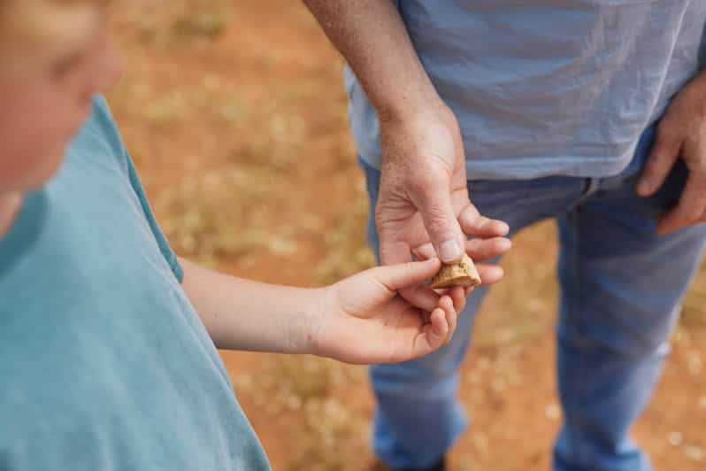 Adelaide: Private Cultural Tour of the Fleurieu Peninsula | GetYourGuide