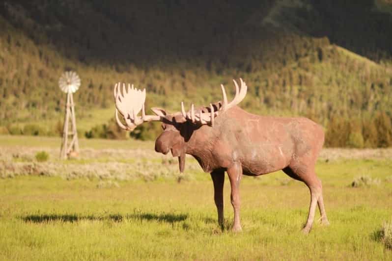 Jackson Hole: Moose Meadow Horseback Tour with Breakfast | GetYourGuide