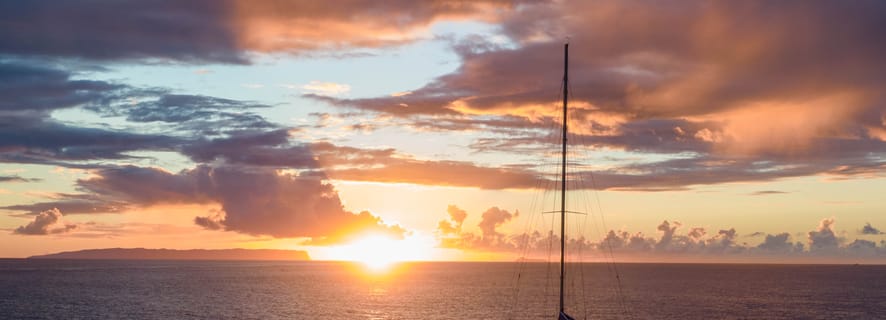 Holo Holo Charters | GetYourGuide Supplier