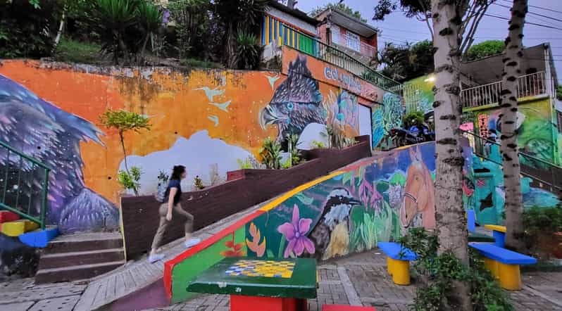 Cali: Recorrido en coche por los 11 barrios de la Comuna 20 | GetYourGuide