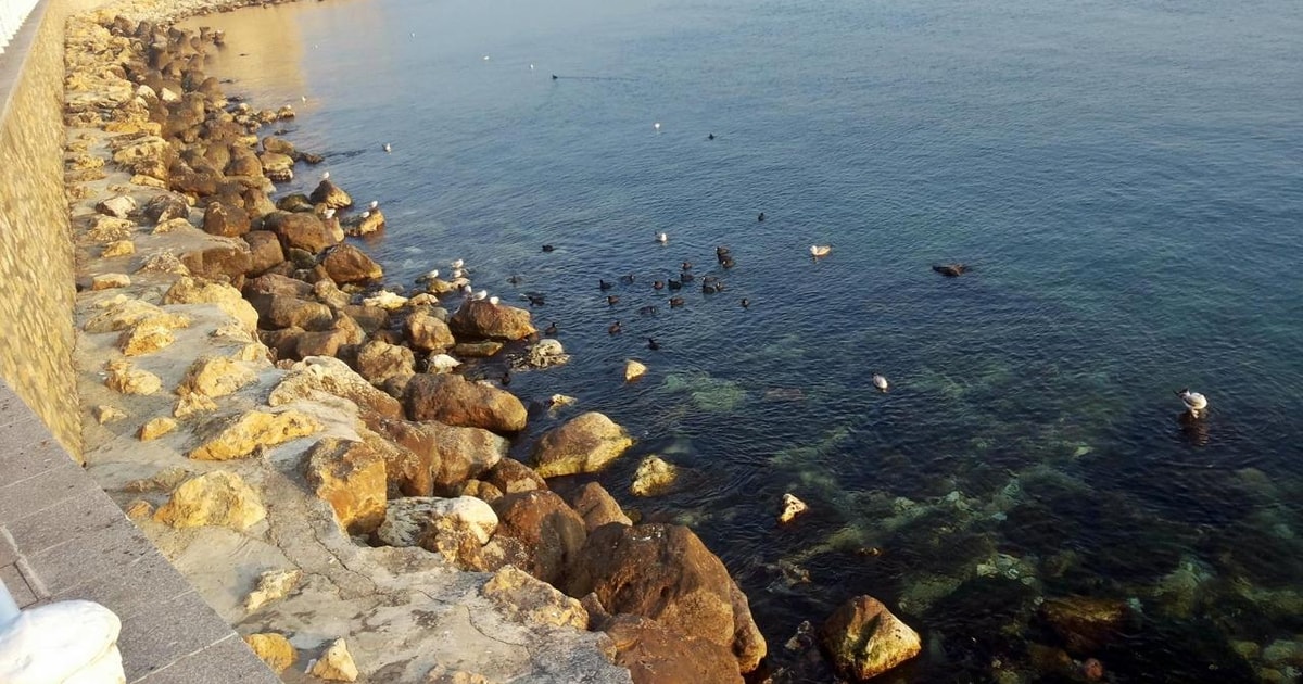 Köstence'den: Müze Ziyaretleri ile Günübirlik Özel Kıyı Gezisi ...