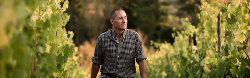 Tuscany: Wine Tasting Lunch or Dinner with Enologist | GetYourGuide