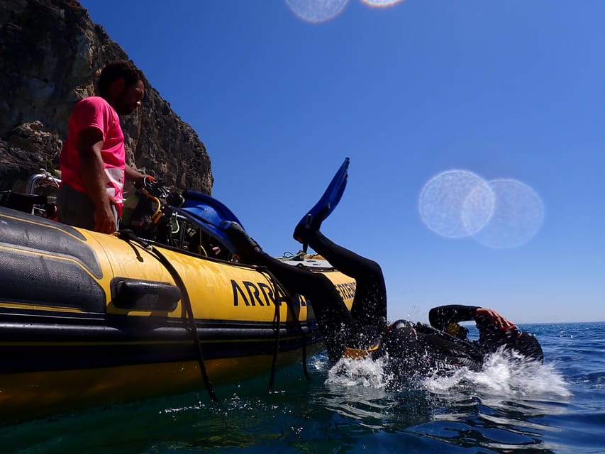 Arrábida: Advanced Adventure Diving Course | GetYourGuide