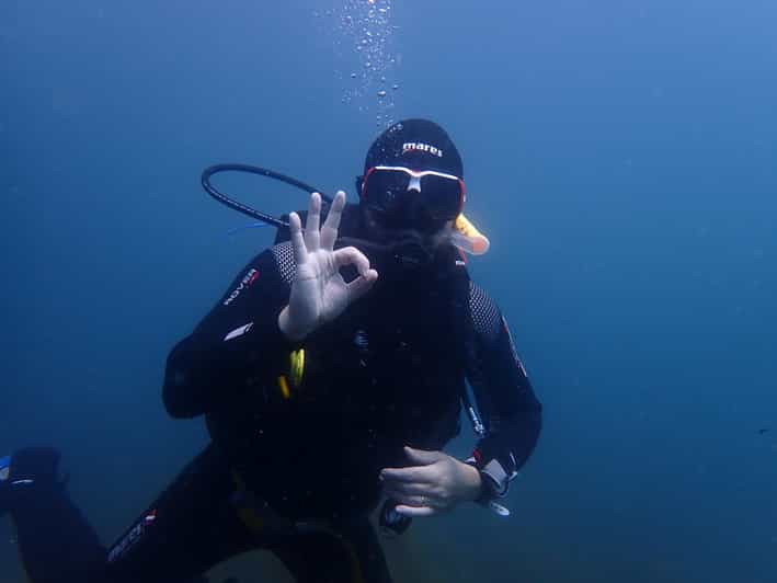 Arrábida: Advanced Adventure Diving Course: Advanced Adventure Diving ...