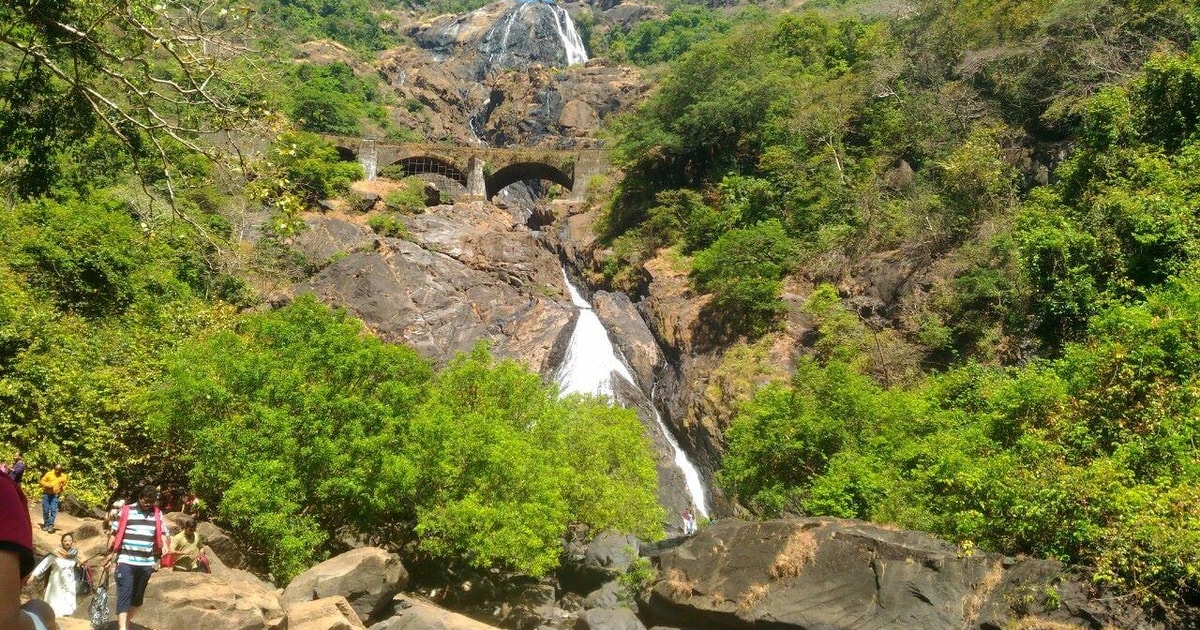 Goa: Dudhsagar Waterval & Kruidenboerderij Tour met Jeepsafari ...