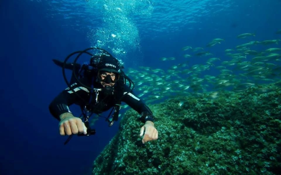 San Domino, Tremiti: Immersioni guidate alle Isole Tremiti | GetYourGuide