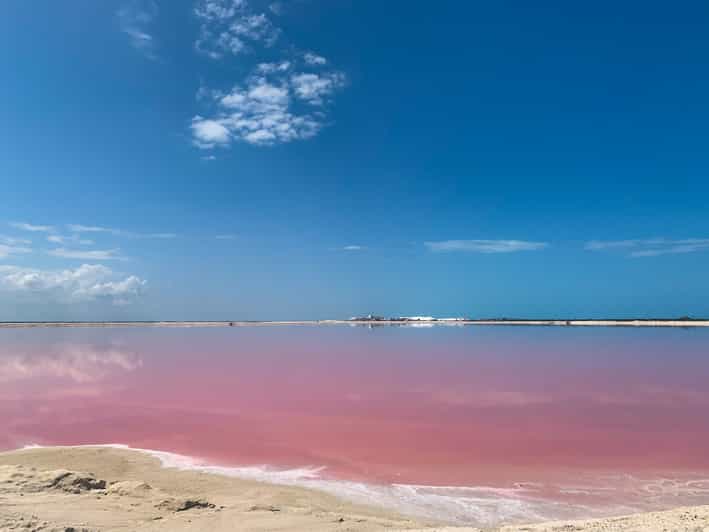 Riviera Maya: Rio Lagartos & Las Coloradas Day Trip w/Lunch | GetYourGuide