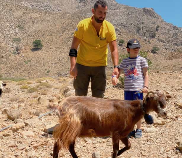 Crete: Trypiti Beach Off-Road South Tour w/ Lunch & Wine | GetYourGuide