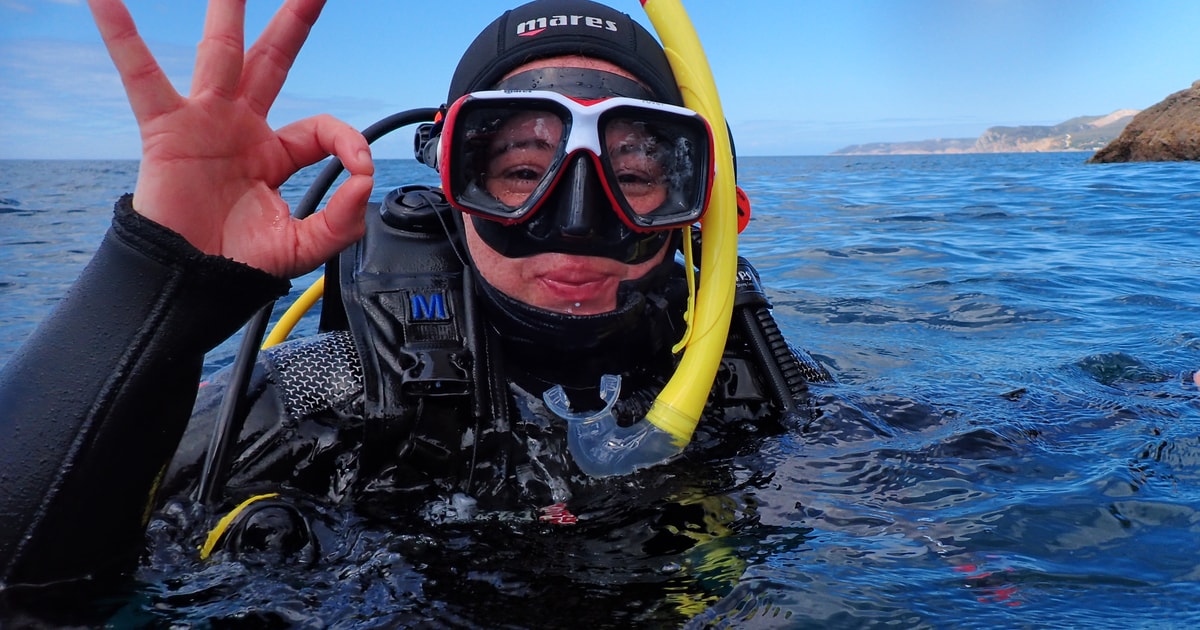 Sesimbra: Beginner's Scuba Diving in Arrabida Natural Park | GetYourGuide
