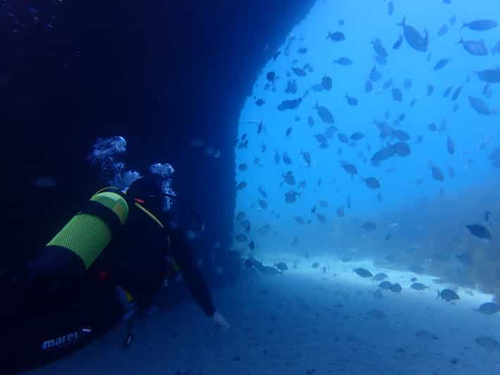 Arrábida: Advanced Adventure Diving Course: Advanced Adventure Diving ...