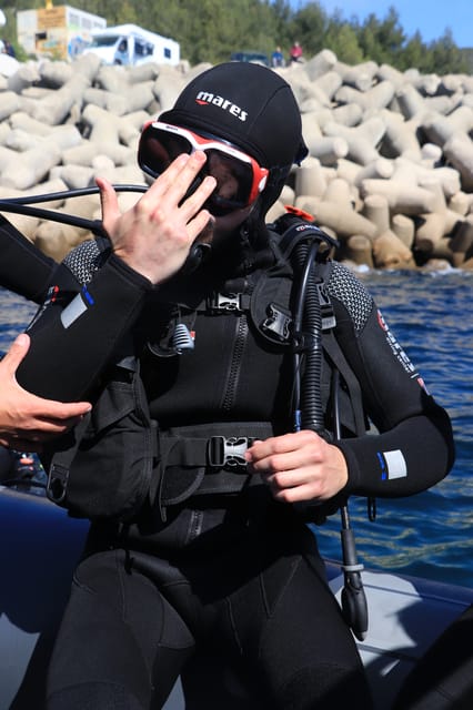 Arrábida: Advanced Adventure Diving Course | GetYourGuide