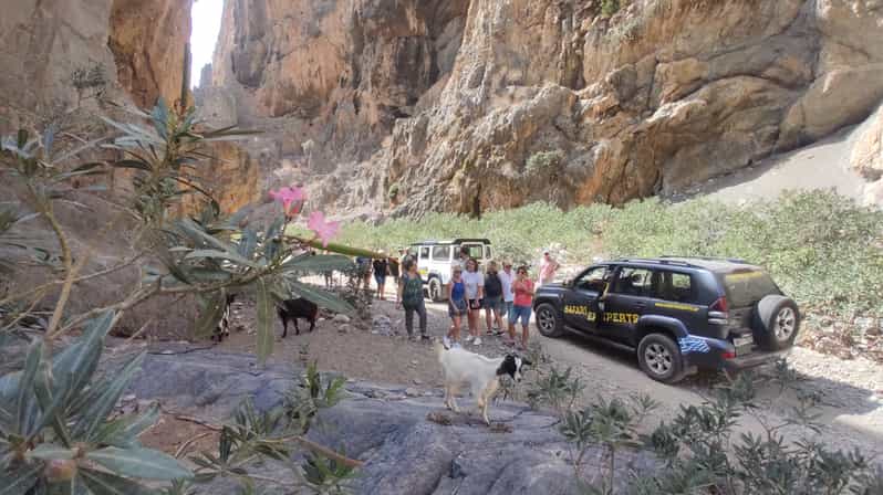 Crete: Trypiti Beach Off-Road South Tour w/ Lunch & Wine | GetYourGuide
