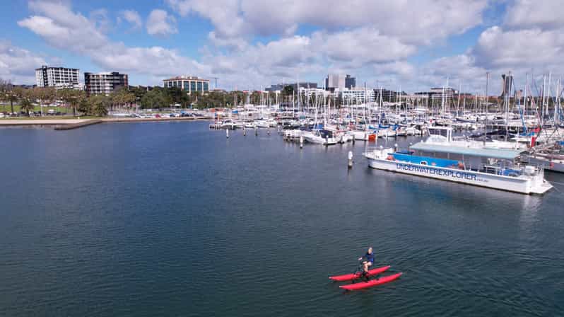 Geelong: Water Bike Coastal Tour | GetYourGuide