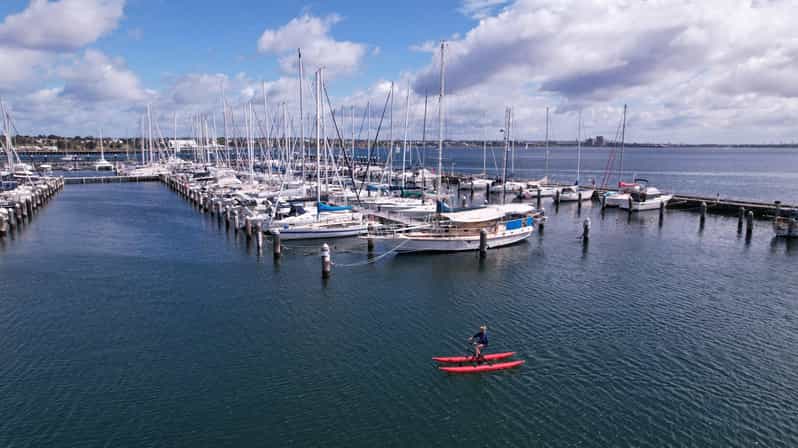 Geelong: Water Bike Coastal Tour | GetYourGuide