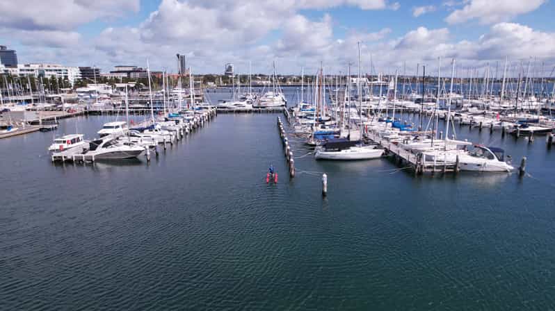Geelong: Water Bike Coastal Tour | GetYourGuide
