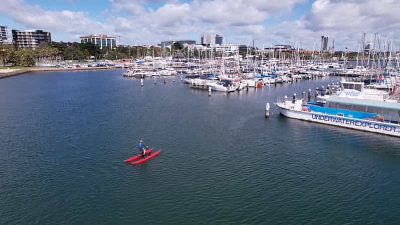 Geelong: Water Bike Coastal Tour | GetYourGuide