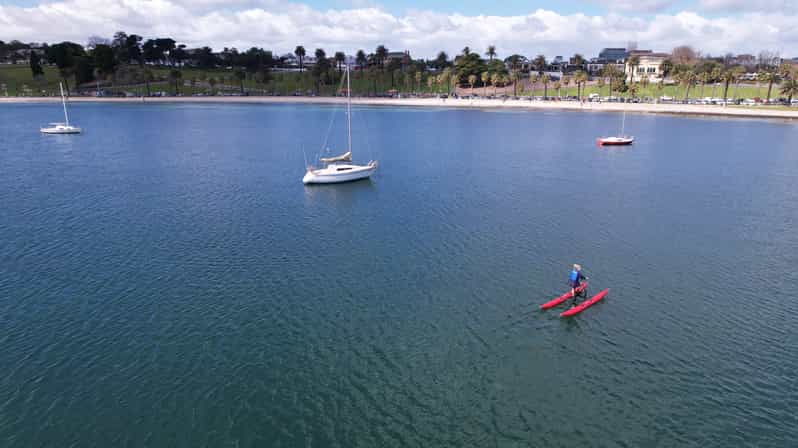 Geelong: Water Bike Coastal Tour | GetYourGuide