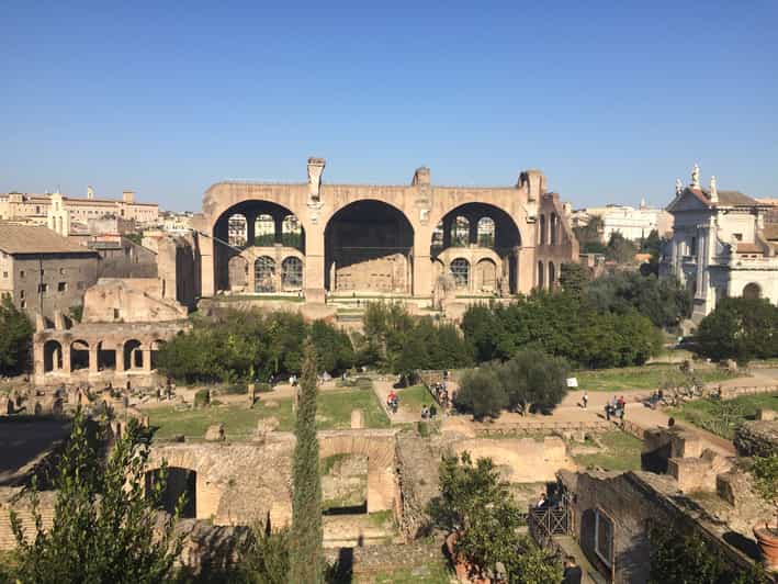 Roma: Turul Forumului, Colina Palatină și Colosseumul cu plecare ...