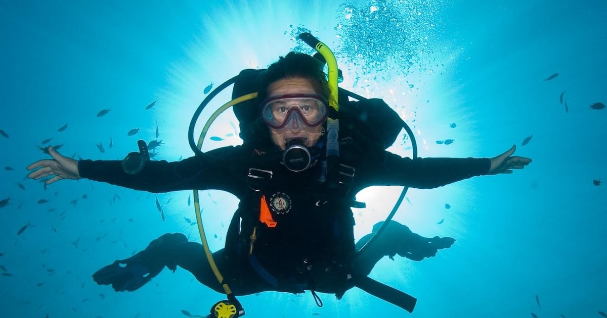 Funchal: esperienza di immersioni subacquee per principianti | GetYourGuide