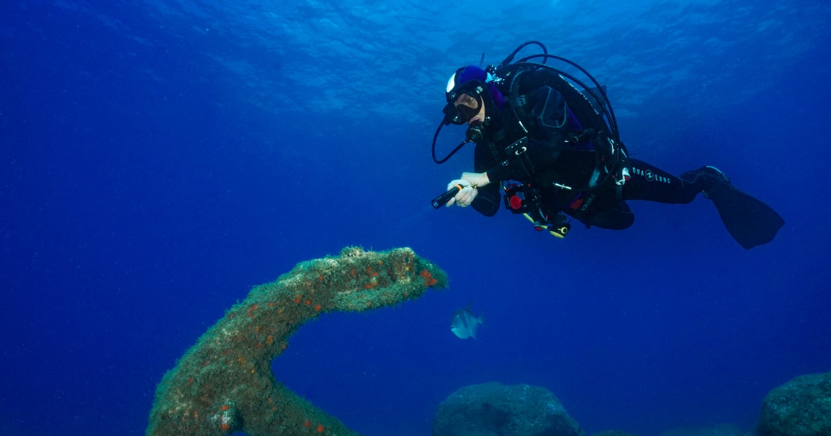 Funchal: Zertifiziertes Tauchen, geführte Tour | GetYourGuide