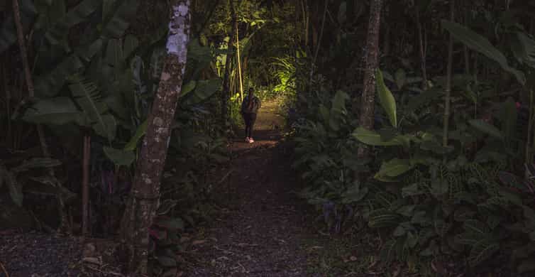 La Fortuna Arenal : Rainforest Night Hiking Trip . | GetYourGuide