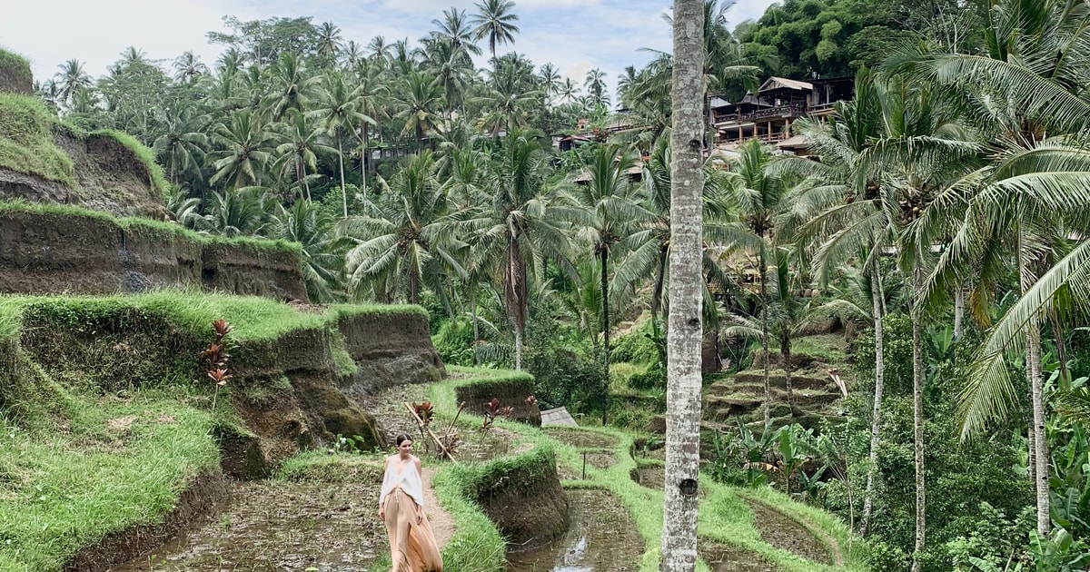 Best of Ubud : All Inslusive Tour with Optional Lunch | GetYourGuide