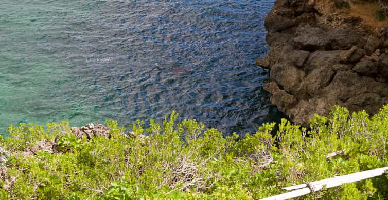 Baia di Samana: tour di snorkeling e kayak a Cayo Levantado | GetYourGuide