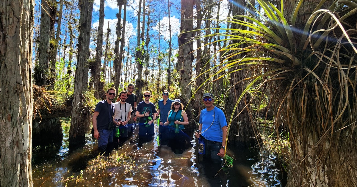 Neapel: Everglades mit Wet Walk, 2 Bootsfahrten & Mittagessen ...