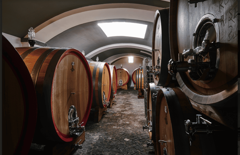 Mount Vesuvius: Vineyard Tour with Wine Tasting and Lunch | GetYourGuide