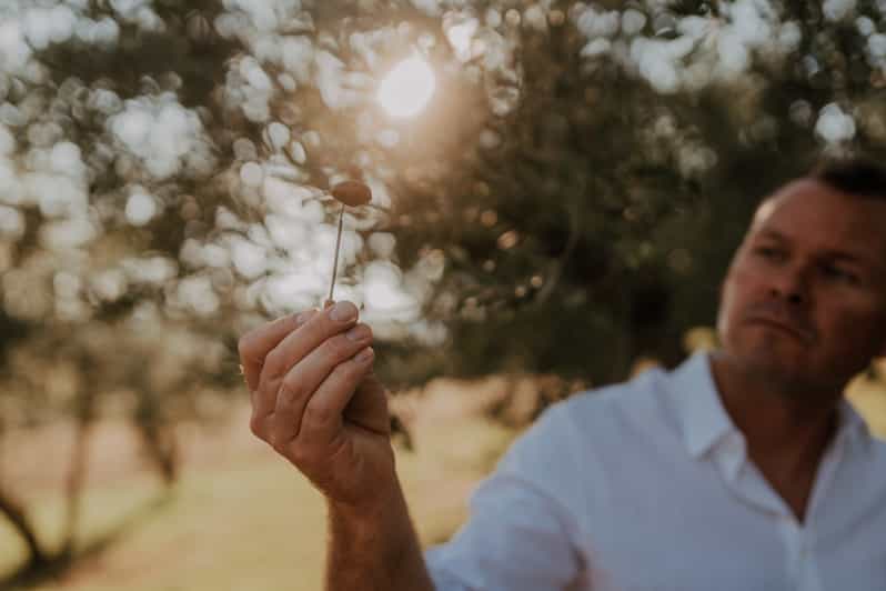 Marezige: Olive Grove and Oil Tour with Tastings and Drinks | GetYourGuide